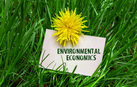 "Environmental Economics" Images – Browse 282 Stock Photos, Vectors ...