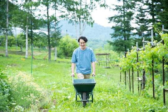 Handbarrow-Bilder: Stock-Fotos & -Videos. | Adobe Stock