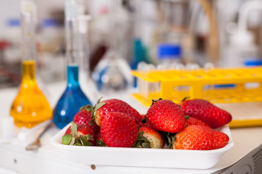 Genfood Bilder – Durchsuchen 5,021 Archivfotos, Vektorgrafiken und ...