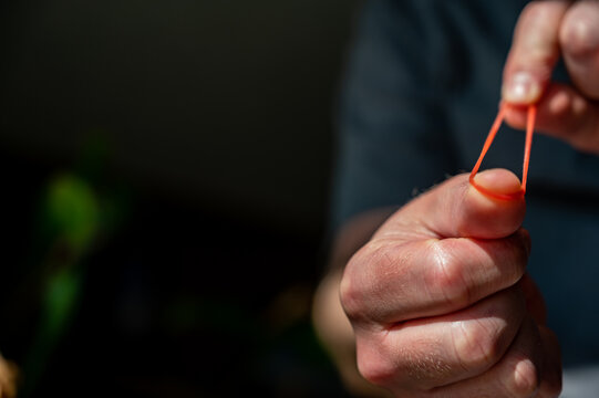 รูปภาพTaunt – เลือกดูภาพถ่ายสต็อก เวกเตอร์ และวิดีโอ59,610 | Adobe Stock