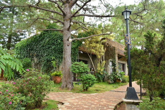 Caleruega bilder – Bläddra bland 124 stockfoton, vektorer och videor ...