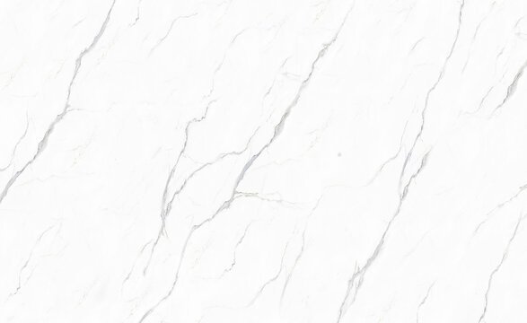 Calacatta Marble Texture