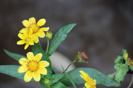 รูปภาพRamtil – เลือกดูภาพถ่ายสต็อก เวกเตอร์ และวิดีโอ486 | Adobe Stock