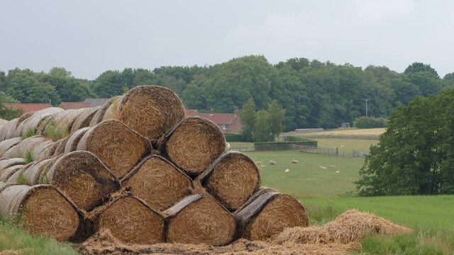 "Spontaneous Combustion" Images – Browse 1,542 Stock Photos, Vectors ...