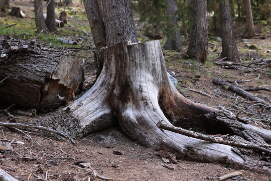 รูปภาพMoignon – เลือกดูภาพถ่ายสต็อก เวกเตอร์ และวิดีโอ605 | Adobe Stock
