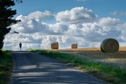 รูปภาพRouleaux – เลือกดูภาพถ่ายสต็อก เวกเตอร์ และวิดีโอ2,637 | Adobe Stock