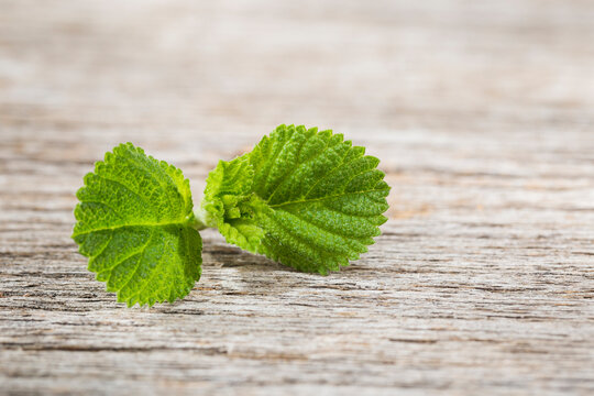 Suddenly Images – Browse 7,107 Stock Photos, Vectors, and Video | Adobe ...