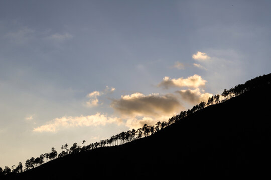 รูปภาพTetero – เลือกดูภาพถ่ายสต็อก เวกเตอร์ และวิดีโอ68 | Adobe Stock