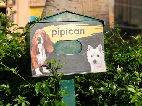 Pipican Images – Browse 3 Stock Photos, Vectors, and Video | Adobe Stock