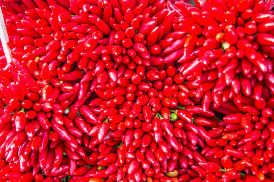 「Pepperoncino」の写真素材 | 293件の無料イラスト画像 | Adobe Stock