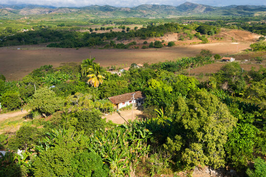 Manaca 画像 - 参照 427 Stock 写真、ベクターおよびビデオ | Adobe Stock