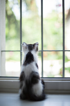 Anti-Intrusion Images – Browse 62 Stock Photos, Vectors, and Video ...