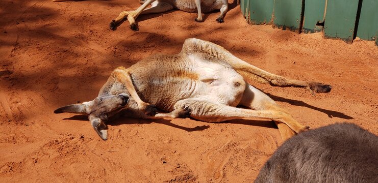 Chillin Images – Parcourir 870 le catalogue de photos, vecteurs et ...