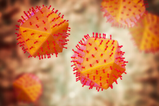 Asfarviridae - Images et vidéos libres de droits | Adobe Stock