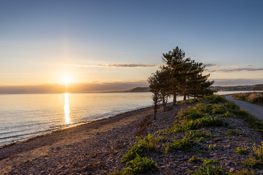 「Dunster」の写真素材 | 381件の無料イラスト画像 | Adobe Stock