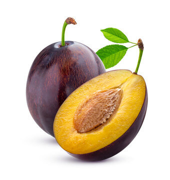 รูปภาพPrune – เลือกดูภาพถ่ายสต็อก เวกเตอร์ และวิดีโอ85,020 | Adobe Stock