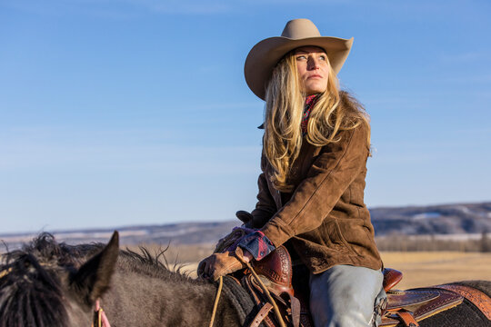 Westernpferd Bilder – Durchsuchen 65,462 Archivfotos, Vektorgrafiken ...