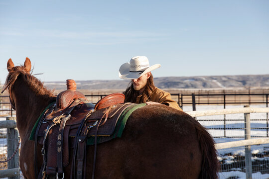 Westernpferd Bilder – Durchsuchen 70,727 Archivfotos, Vektorgrafiken ...