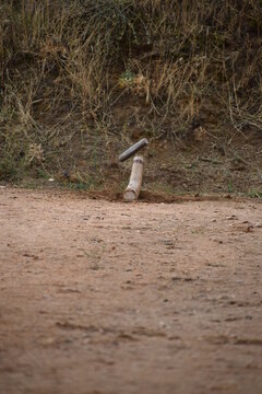 Marro Images – Browse 49 Stock Photos, Vectors, and Video | Adobe Stock