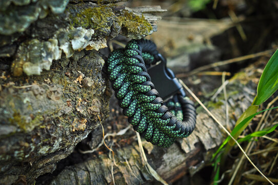 รูปภาพFastex – เลือกดูภาพถ่ายสต็อก เวกเตอร์ และวิดีโอ300 | Adobe Stock