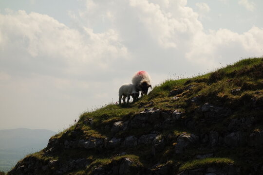 "Weiter So" Images – Browse 68 Stock Photos, Vectors, and Video | Adobe ...