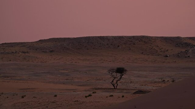 รูปภาพSidra – เลือกดูภาพถ่ายสต็อก เวกเตอร์ และวิดีโอ1,955 | Adobe Stock