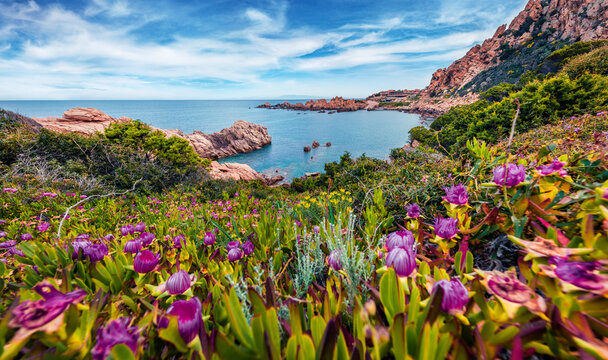 「Cossi」の画像 - 563 件の Stock 写真、ベクターおよびビデオ | Adobe Stock