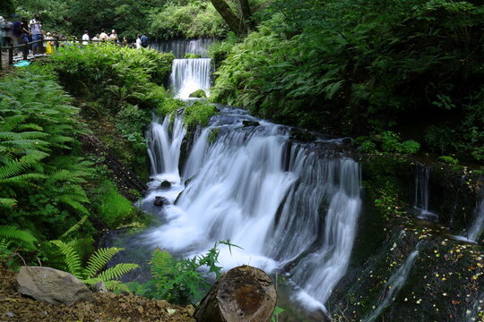 Menader bilder – Bläddra bland 3,594 stockfoton, vektorer och videor ...