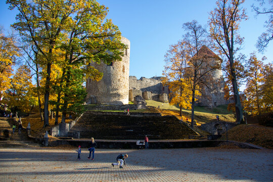 รูปภาพLivonian – เลือกดูภาพถ่ายสต็อก เวกเตอร์ และวิดีโอ3,658 | Adobe Stock