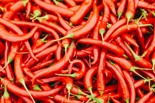 รูปภาพChily – เลือกดูภาพถ่ายสต็อก เวกเตอร์ และวิดีโอ3,058 | Adobe Stock