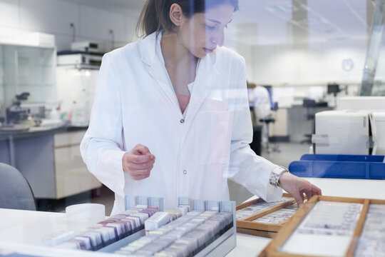 "Anatomic Pathology" Images – Browse 544 Stock Photos, Vectors, and ...