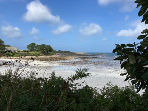 「Wrach」の画像 - 106 件の Stock 写真、ベクターおよびビデオ | Adobe Stock