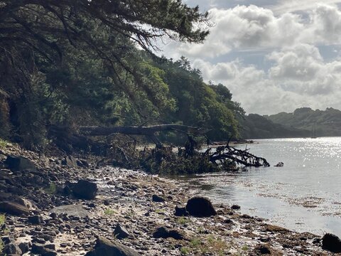 Imágenes de Wrach: descubre bancos de fotos, ilustraciones, vectores y ...