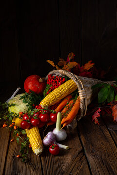 Cornocopia Bilder – Durchsuchen 107 Archivfotos, Vektorgrafiken und ...