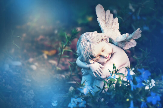 Free Angel Images – Browse 1,987 Free Stock Photos, Vectors, and Video ...