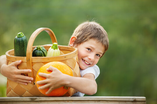 "Little Helper" Images – Browse 808 Stock Photos, Vectors, and Video ...