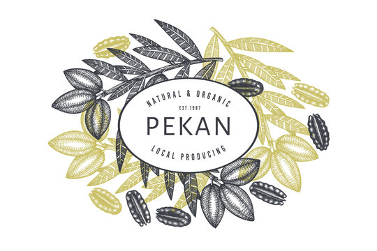 Pecan Tree Vector Images – Browse 9,001 Stock Photos, Vectors, and ...