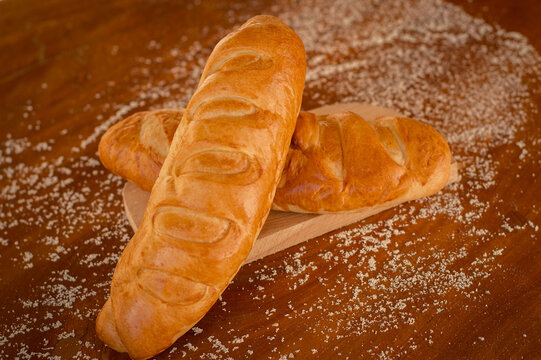 Gusanito Imagens – Procure 11 fotos, vetores e vídeos | Adobe Stock