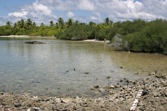 Natu Images – Browse 1,522 Stock Photos, Vectors, and Video | Adobe Stock