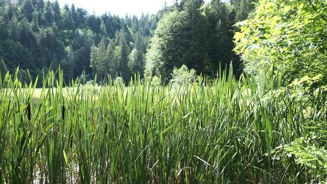 Sutten Images – Browse 170 Stock Photos, Vectors, and Video | Adobe Stock