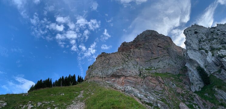 รูปภาพ"Grosser – เลือกดูภาพถ่ายสต็อก เวกเตอร์ และวิดีโอ7,749 | Adobe Stock