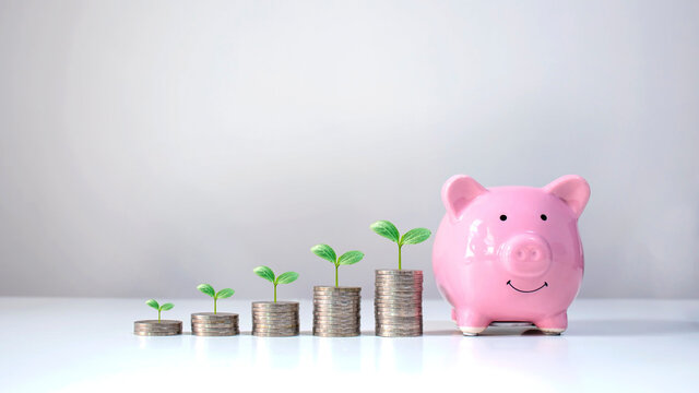 Piggy Bank Savings Grow Images – Browse 20,081 Stock Photos, Vectors ...