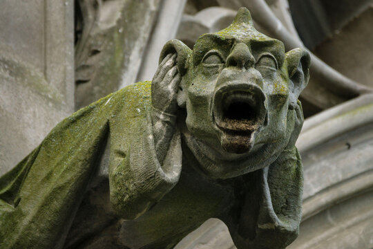 Gargola Images – Browse 1,929 Stock Photos, Vectors, and Video | Adobe ...