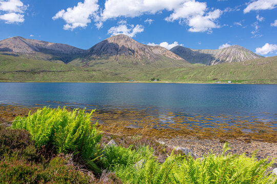 Broadford Images – Browse 256 Stock Photos, Vectors, and Video | Adobe ...