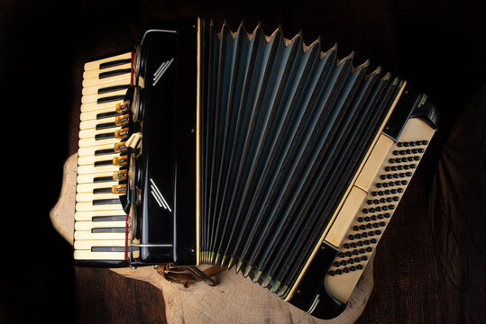 รูปภาพFisarmonica – เลือกดูภาพถ่ายสต็อก เวกเตอร์ และวิดีโอ33,348 ...