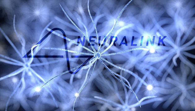 รูปภาพNeurolink – เลือกดูภาพถ่ายสต็อก เวกเตอร์ และวิดีโอ742 | Adobe Stock