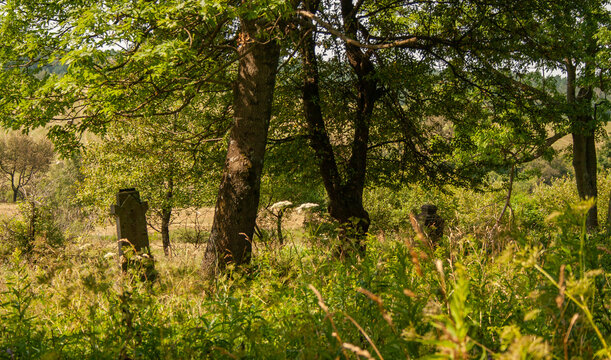 รูปภาพBorderland – เลือกดูภาพถ่ายสต็อก เวกเตอร์ และวิดีโอ1,664 | Adobe ...
