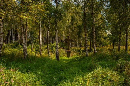 รูปภาพBorderland – เลือกดูภาพถ่ายสต็อก เวกเตอร์ และวิดีโอ1,664 | Adobe ...