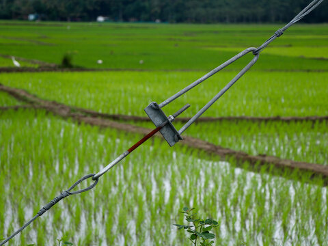 "Stay Wire" Images – Browse 14 Stock Photos, Vectors, and Video | Adobe ...