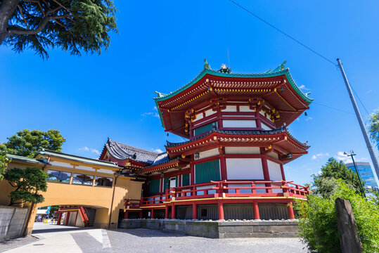 รูปภาพCatamite – เลือกดูภาพถ่ายสต็อก เวกเตอร์ และวิดีโอ1,098 | Adobe Stock